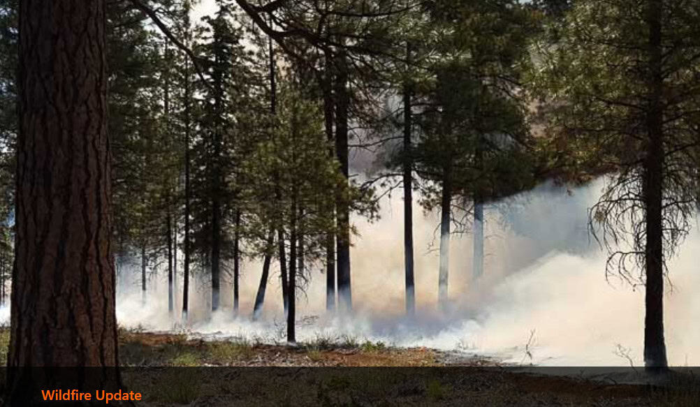 Supporting Sisters Country in the Wake of the Flat Fire: A Message from ...